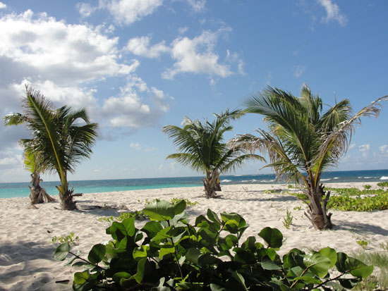 An Even More Private Piece of Anguilla... Sandy Island, A Must-Do ...