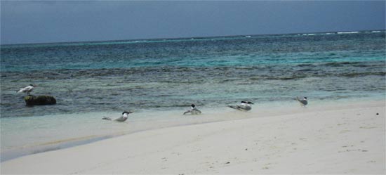 Anguilla Weather in June