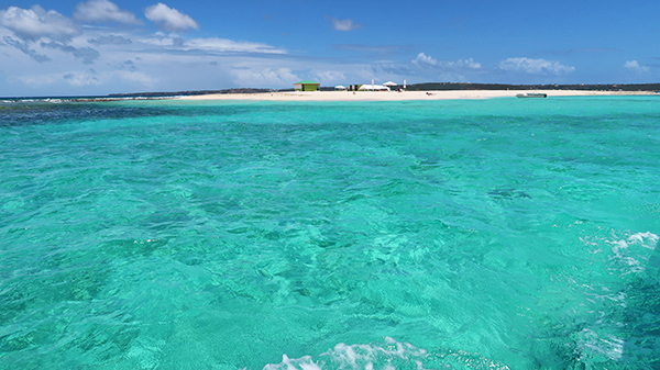 An Even More Private Piece of Anguilla... Sandy Island, A Must-Do ...